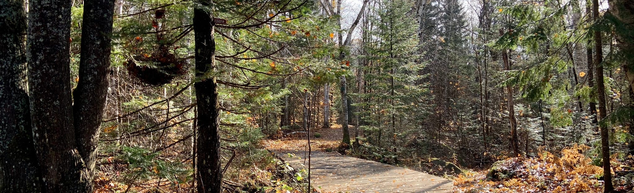 Césaire Trail, Quebec, Canada - 25 Reviews, Map | AllTrails