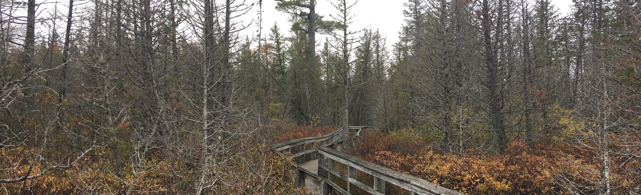 Sand Point Boardwalk Trail, Michigan - 121 Reviews, Map | AllTrails