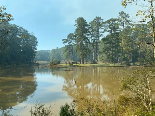 Best Mountain Biking Trails in Homochitto National Forest | AllTrails
