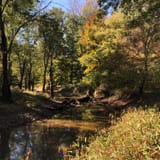 Cache River and Heron Pond State Natural Areas, Illinois - 142 Reviews ...