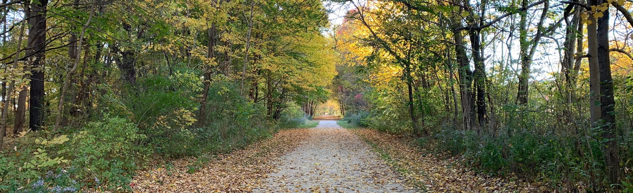 Headwaters Trail , Ohio - 229 Reviews, Map | AllTrails