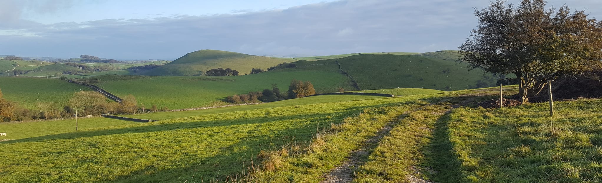 Thor's Cave Circular: 1132 Reviews, Map - Derbyshire, England | AllTrails