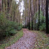 Matsqui Trail, British Columbia, Canada - 247 Reviews, Map | AllTrails