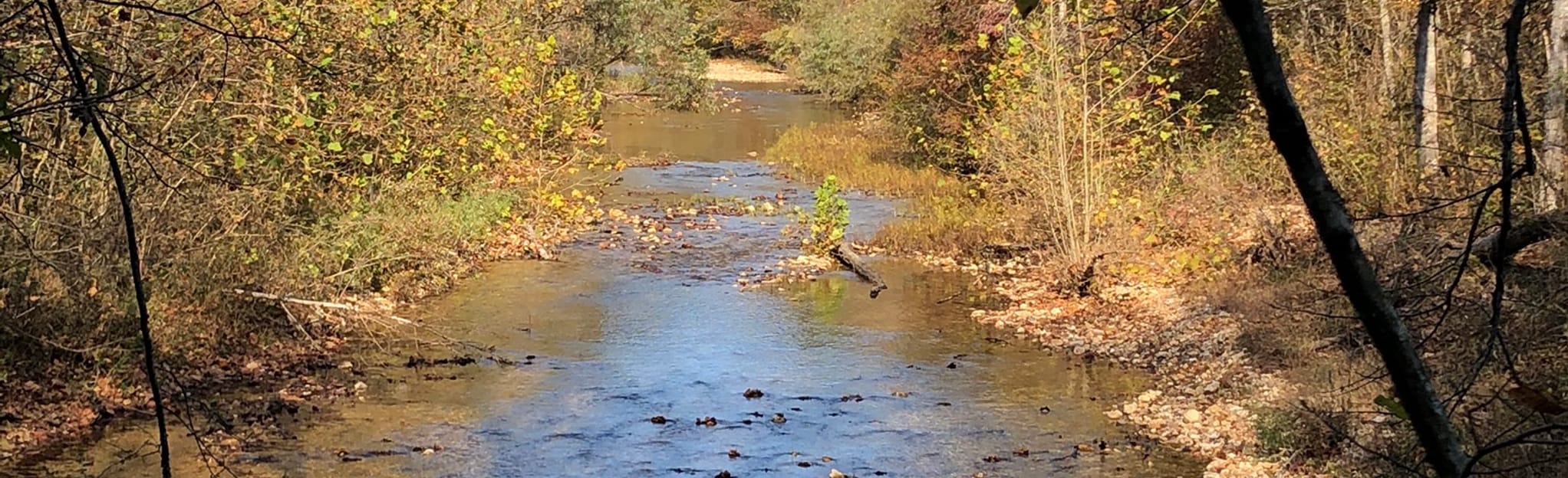 The Ozark Trail: Blair Creek Section: 46 Reviews, Map - Missouri ...