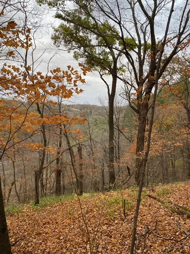 2023 Best 10 Trails and Hikes in Decorah | AllTrails