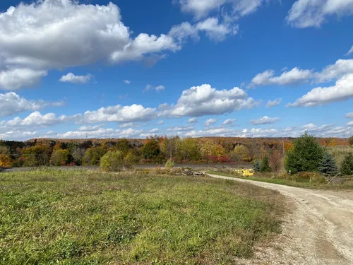 Best Walking Trails in Kelso Conservation Area | AllTrails