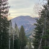 Silver Fork Trail, Utah - 133 Reviews, Map | AllTrails