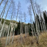 Silver Fork Trail, Utah - 133 Reviews, Map | AllTrails