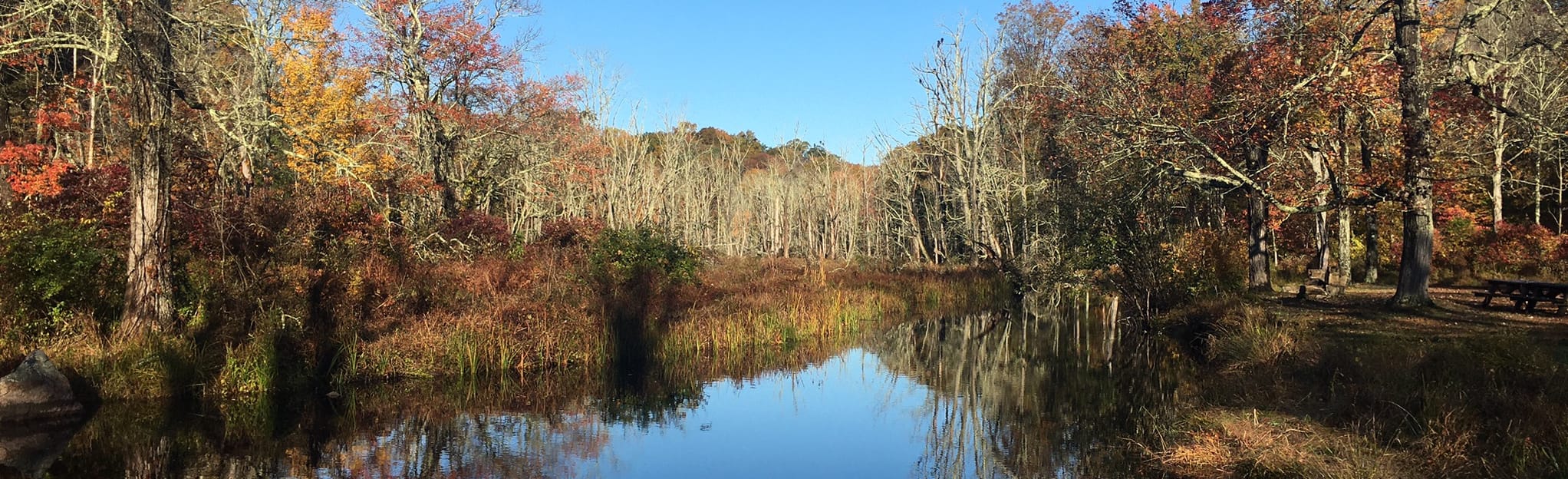 Fox Run Trail: 97 Reviews, Map - New York | AllTrails