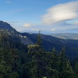 Quartz Creek, Manastash Creek, Taneum Creek, and Greek Creek OHV Loop ...