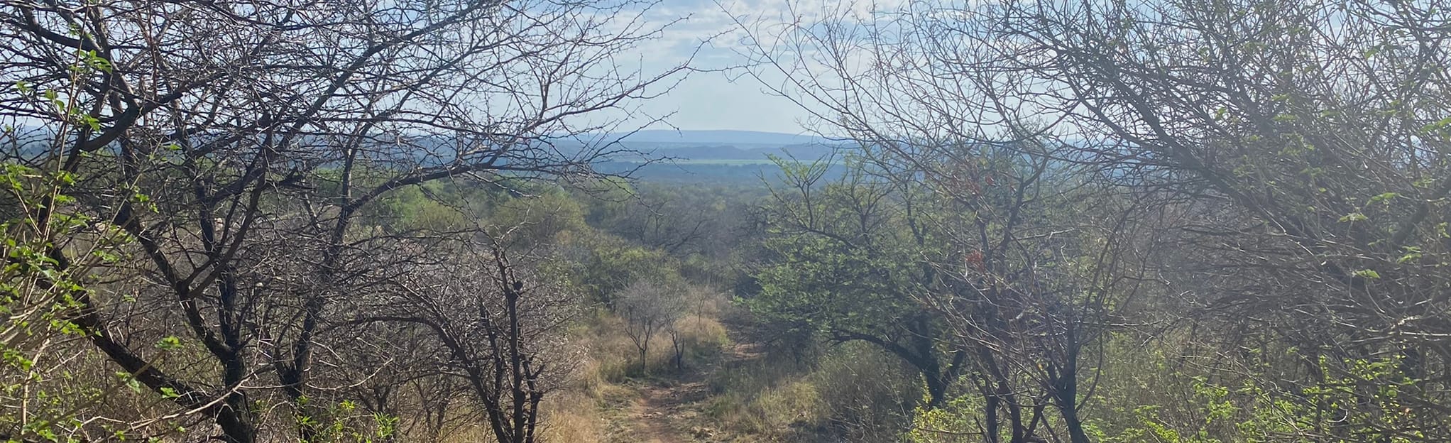 Buffelsdrift Tough 21 - Gauteng, South Africa | AllTrails