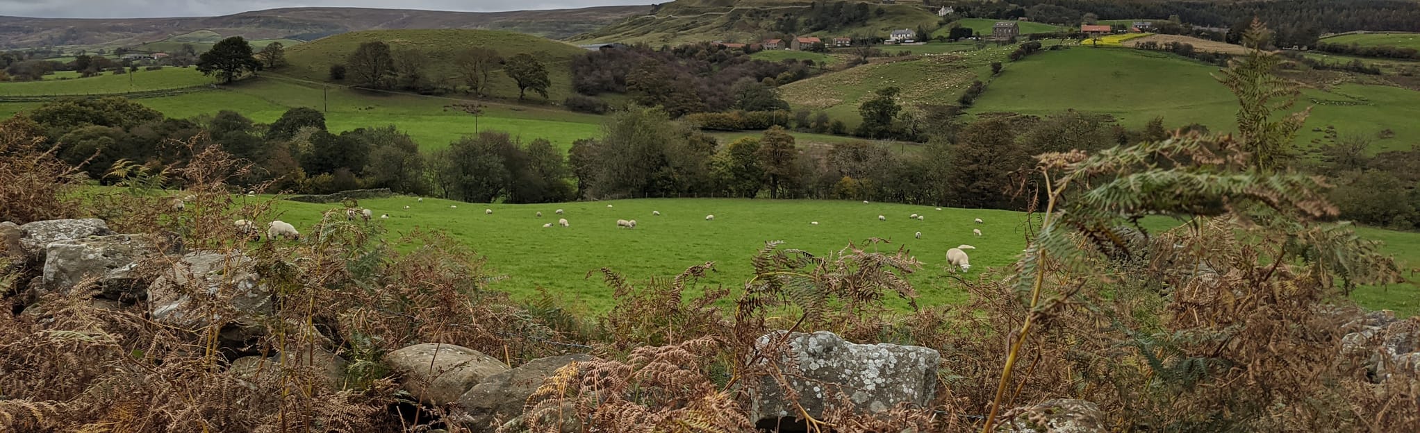 Rosedale Abbey, Blakey Ridge, and Ironstone Railway: 202 foto's - North ...