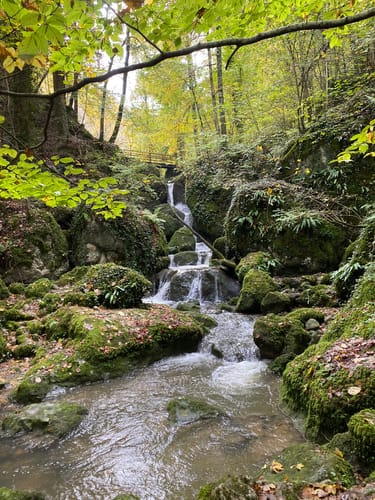 2023 Best 10 Trails and Hikes in Basel Country | AllTrails