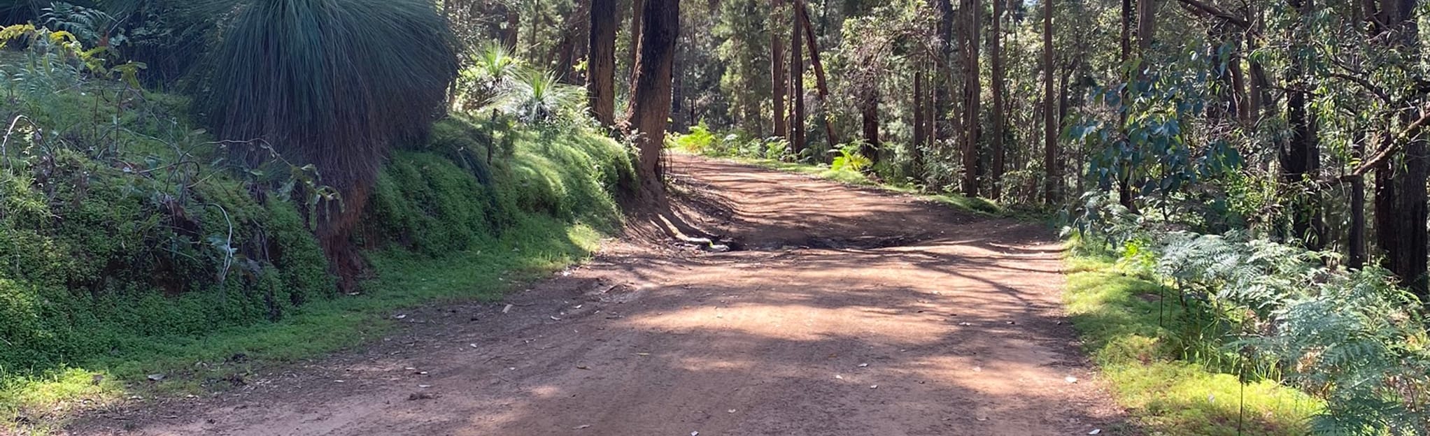 Mundaring Loop Trail, Western Australia, Australia - 40 Reviews, Map ...