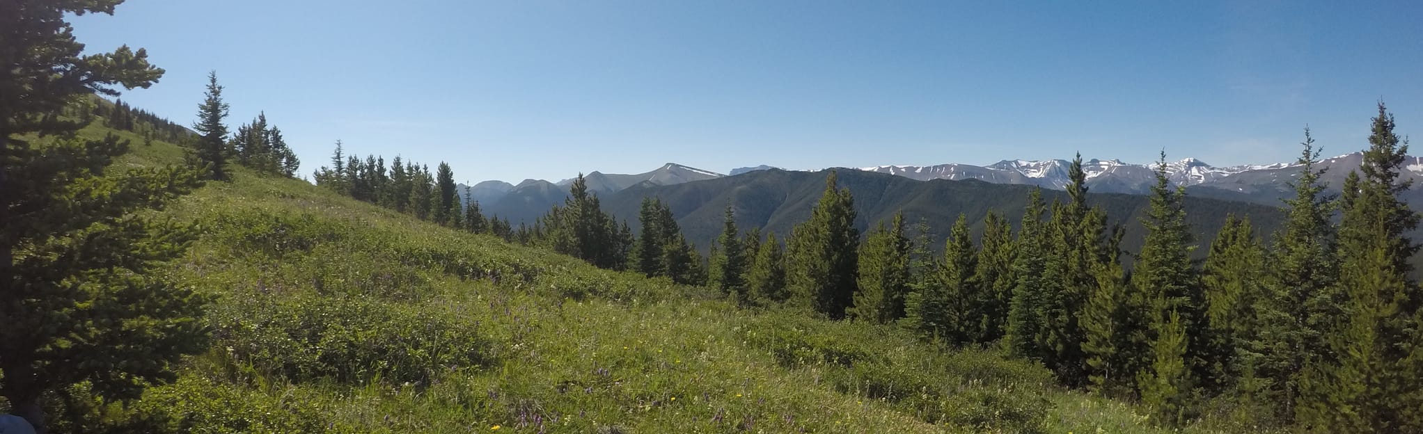 Mount Delacroix, Alberta, Canada - 3 Reviews, Map | AllTrails