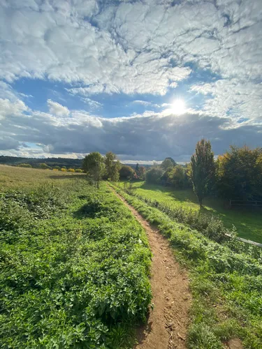 10 Best Hikes and Trails in Surrey Hills National Landscape (AONB ...