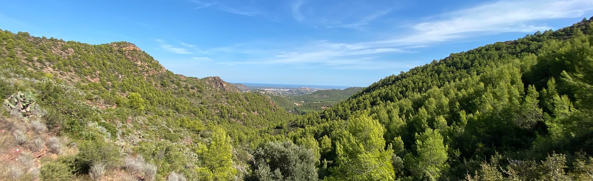 Santo Espíritu - Pico del Águila - Muntanya de Sola: 54 fotos ...