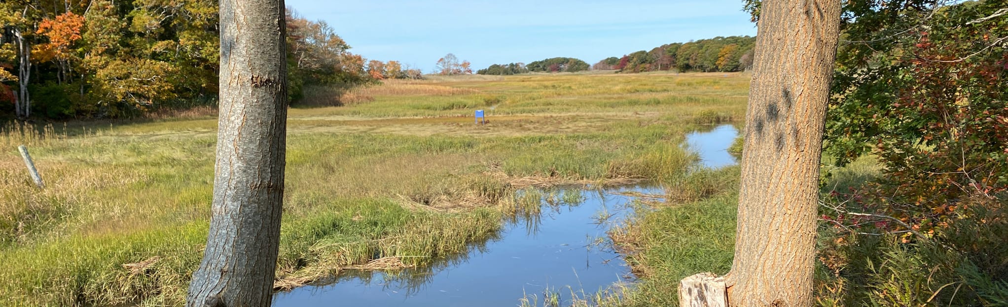 Cape Cod Rail Trail, Massachusetts - 598 Reviews, Map | AllTrails