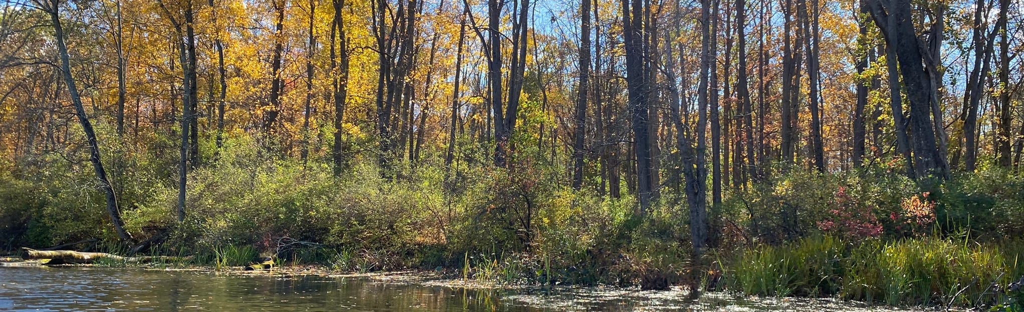 Waneta and Lamoka Lake Paddling Route: 22 fotos - Nova Iorque | AllTrails