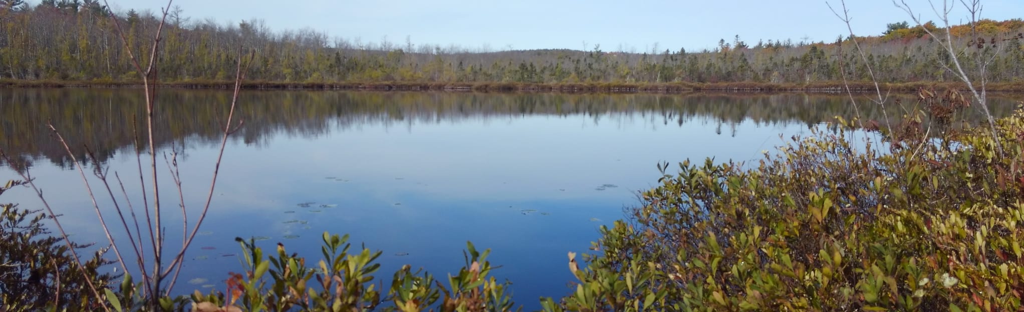 Poutwater Pond Trail: 19 Reviews, Map - Massachusetts | AllTrails