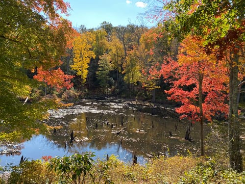 Best Hikes and Trails in Hubbard Park | AllTrails