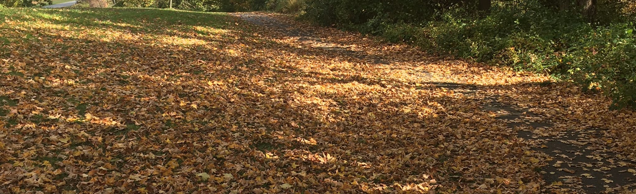 FDR State Park Road Loop | Map, Guide - New York | AllTrails