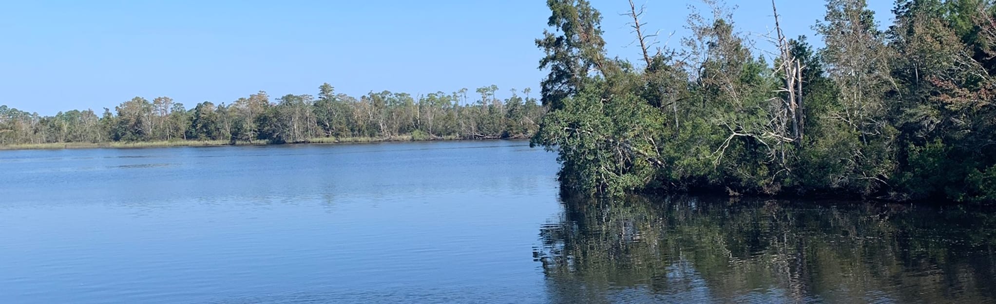 Bagdad Lumber Mill Site: 64 Reviews, Map - Florida | AllTrails