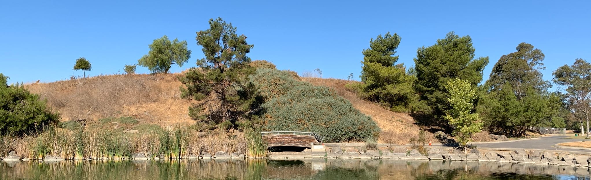 Lake Cunningham, California - 517 Reviews, Map | AllTrails