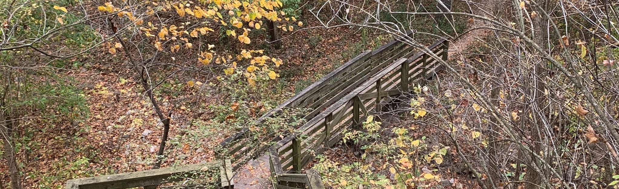 Fox Ridge State Park Loop Trail - Illinois | AllTrails