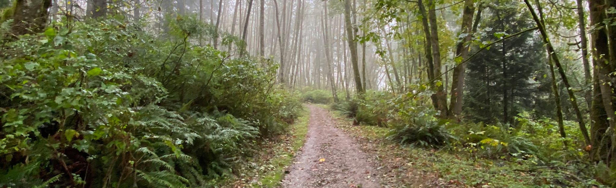 Cave Hole, Coal Creek Falls, Quarry, and Fred's Railroad Loop ...