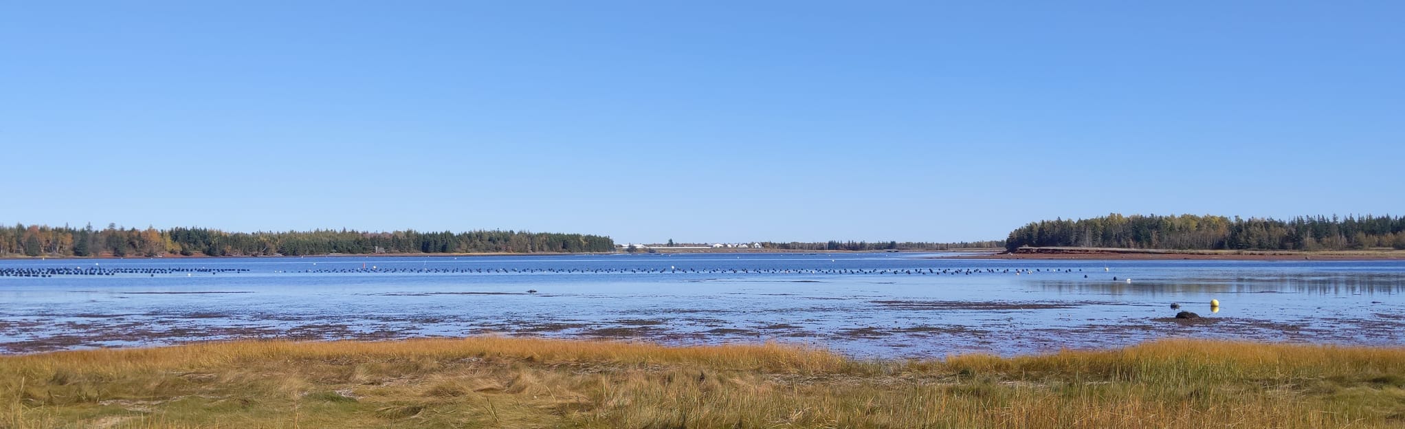 Foxley River Hiking Trail North, Prince Edward Island, Canada - 4 ...