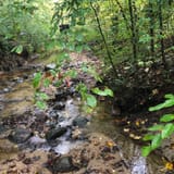 Willis River Trail, Virginia - 34 Reviews, Map | AllTrails