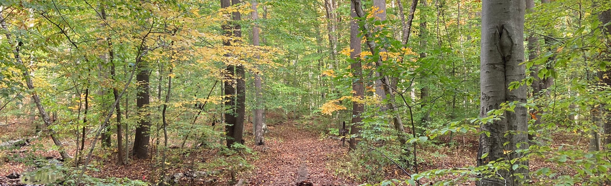 Soldier's Hut via Grand Loop Trail, New Jersey - 317 Reviews, Map ...