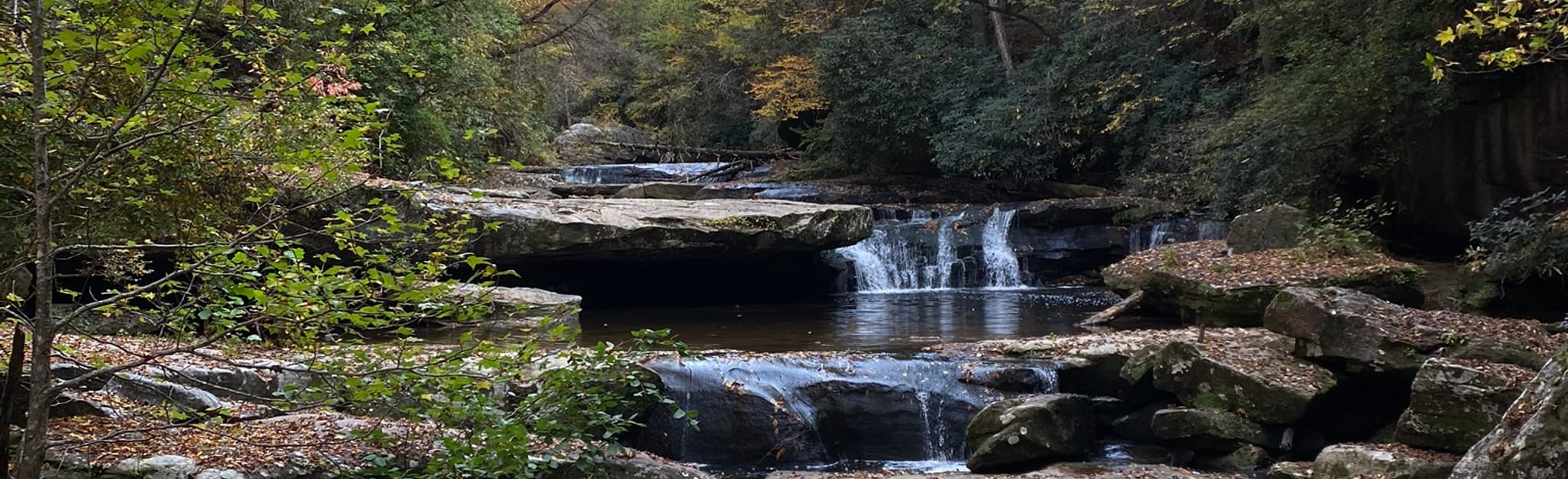 Sheltowee Trace Trail Loop via Bear Creek Road, Kentucky - 15 Reviews ...