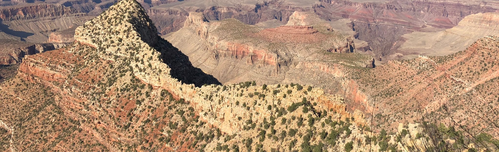 Grandview Trail, Arizona - 104 Reviews, Map | AllTrails