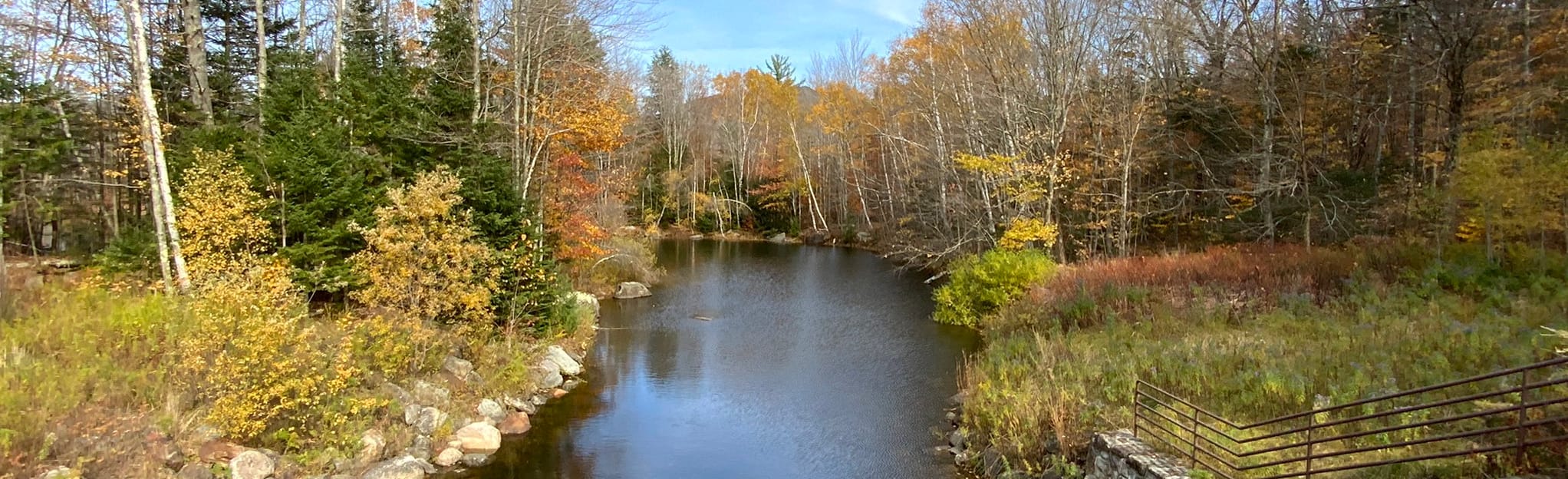 Chittenden Reservoir Loop, Vermont - 35 Reviews, Map | AllTrails