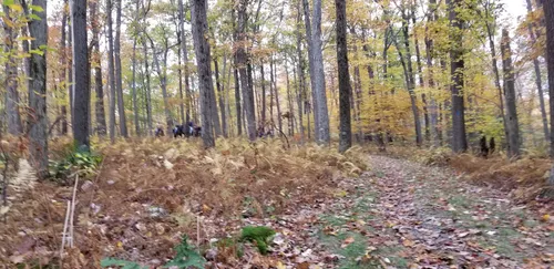 Best 10 Hikes and Trails in Forbes State Forest | AllTrails