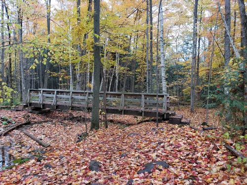 Best Kid Friendly Trails in Silver Creek Conservation Area | AllTrails