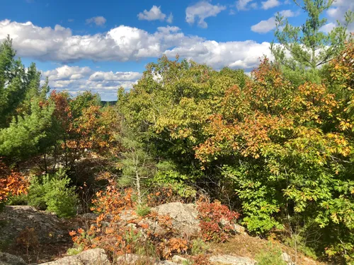 10 Best Easy Trails in Middlesex Fells Reservation | AllTrails