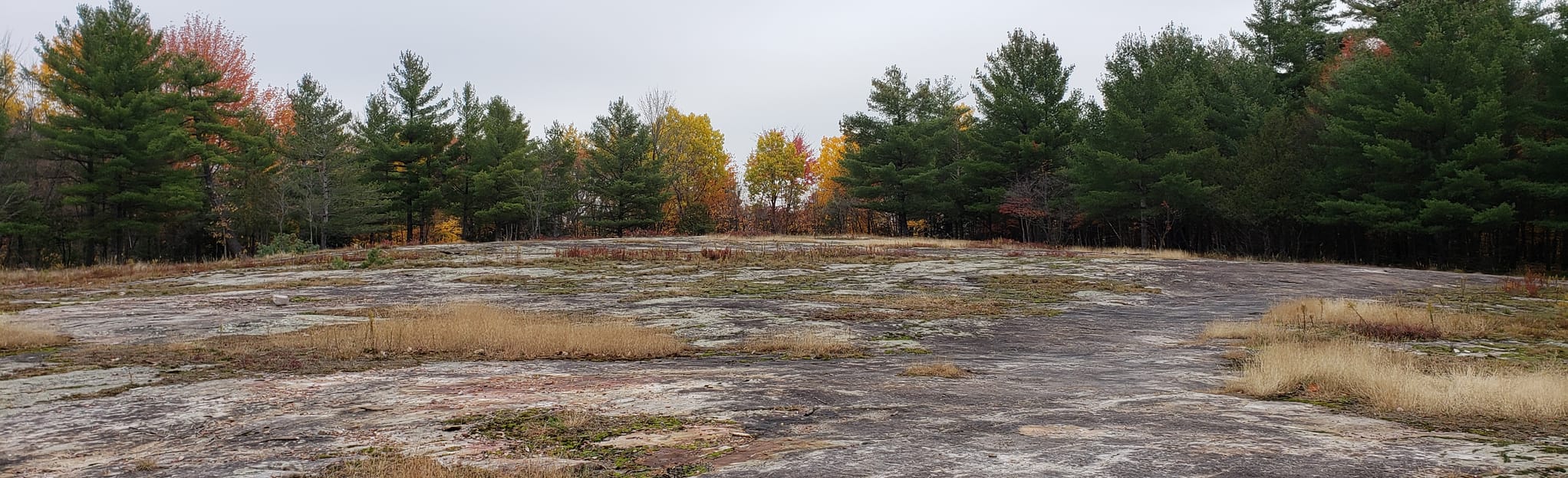 Lac Beauchamp Big Loop, Quebec, Canada - 25 Reviews, Map | AllTrails