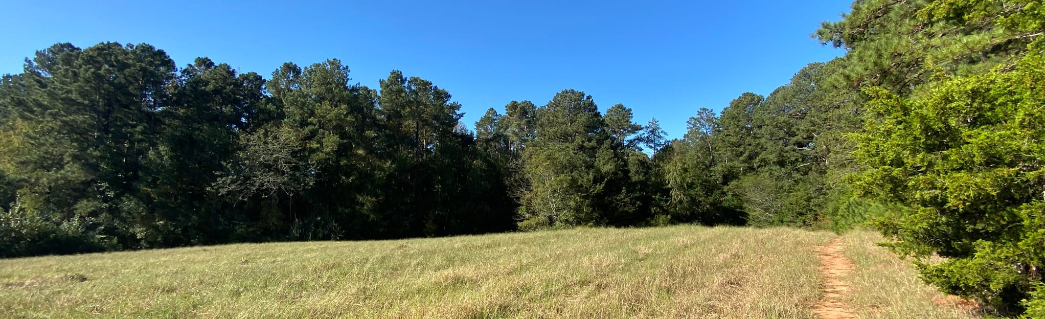 Parson's Mountain Lake via Long Cane Scenic Trail, South Carolina - 35 ...