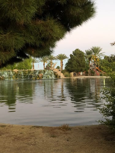 Best Hikes and Trails in Aliante Nature Discovery Park | AllTrails