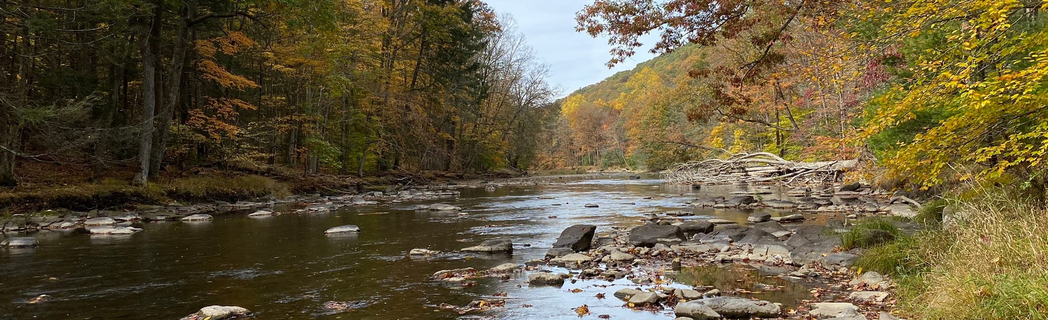 Poe Paddy Tunnel Loop: 49 Reviews, Map - Pennsylvania | AllTrails