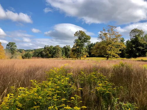 10 Best Hikes and Trails in Ward Pound Ridge Reservation | AllTrails