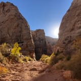 Capitol Gorge Trail [CLOSED], Utah - 172 Reviews, Map | AllTrails