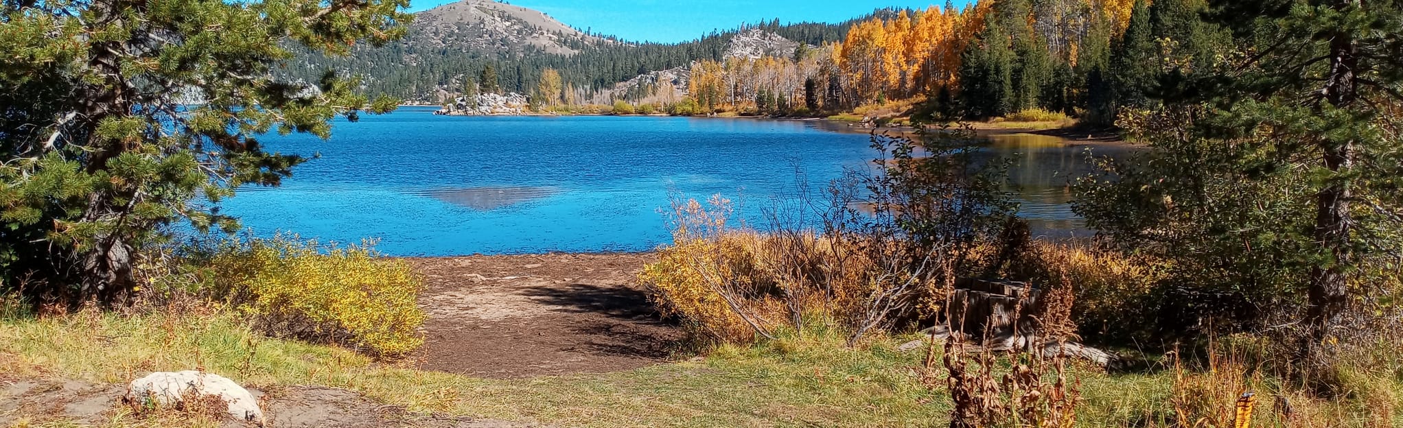 Rim Trail, Mount Rose Meadows, Marlette Lake, and Flume Trail: 4.271 ...