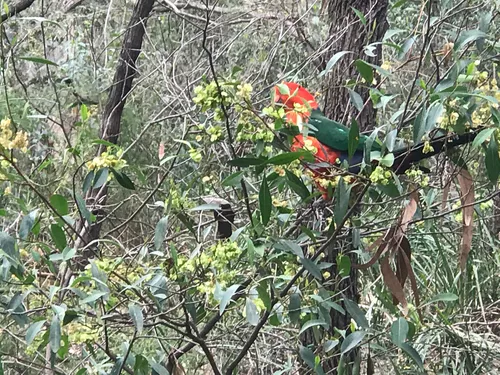 Best Hikes and Trails in Col Sutton Reserve | AllTrails