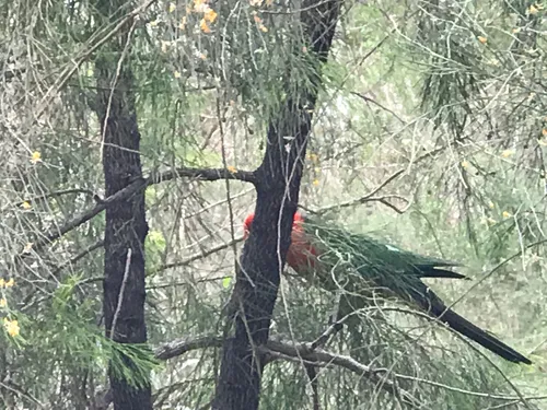 Best Hikes and Trails in Col Sutton Reserve | AllTrails