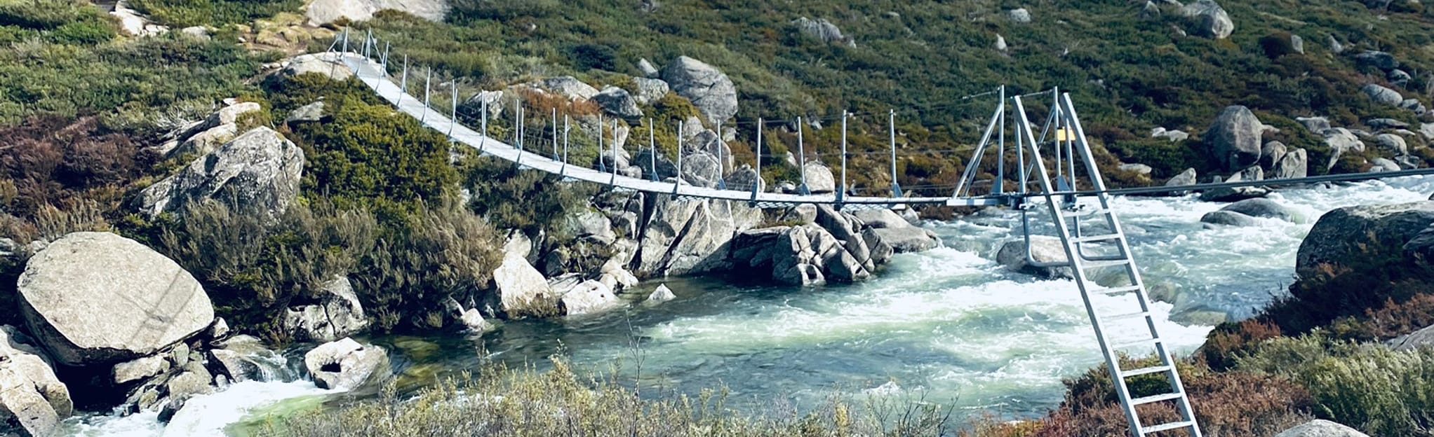 Illawong Walk: 239 Reviews, Map - New South Wales, Australia | AllTrails