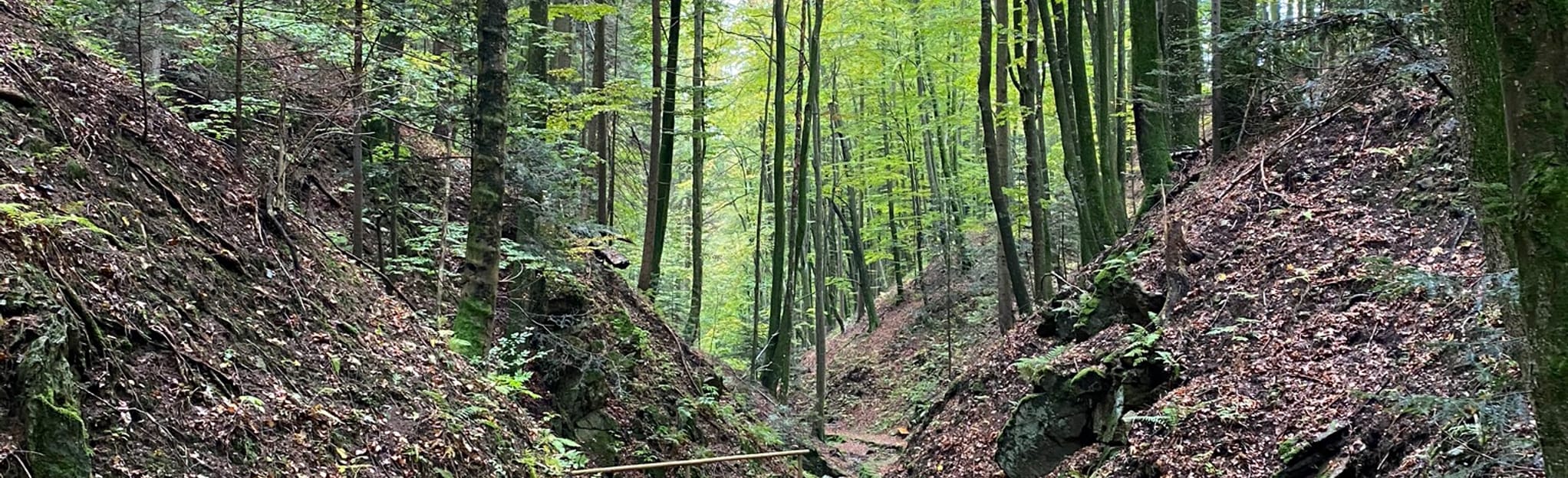 Wanderweg 927: Friedberg - Vorauer Schwaig, Lower Austria, Austria ...